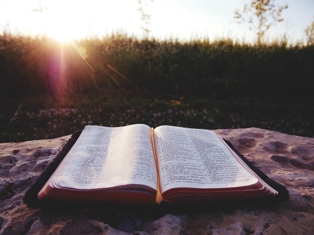 Man Up! Practical Lessons from Jesus’ Ascension [Podcast] - Wayne Stiles